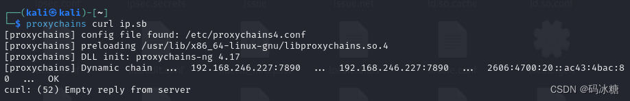 linux-kali的proxychains4 设置终端及浏览器代理（详细步骤）_kali怎么设置代理-CSDN博客