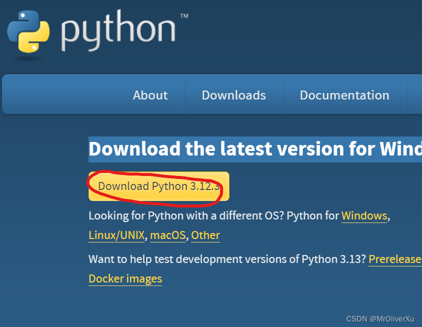 保姆级pytorch安装教程，win10，win11，python3.12.x，跟着步骤十分钟装完_cuda 12.5 pytorch-CSDN博客