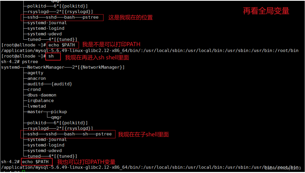 【shell 编程学习笔记】一、基础概念1-CSDN博客