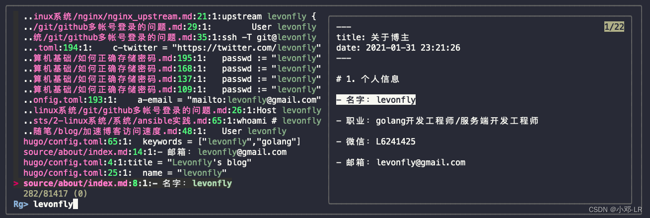 RipGrep介绍与使用-CSDN博客