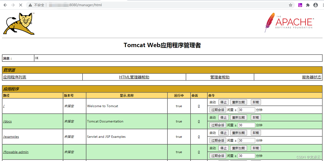 Tomcat 管理页面 403 Access Denied 解决方法 Tomcat 403 Access Denied Csdn博客