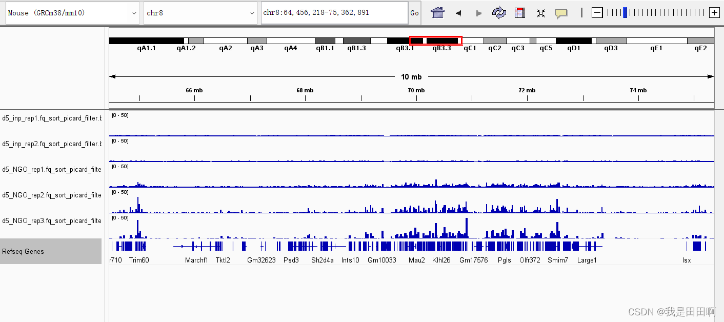 零基础小白笔记8 | 将bam文件转换为bw文件并进行可视化_bamcoverage-CSDN博客