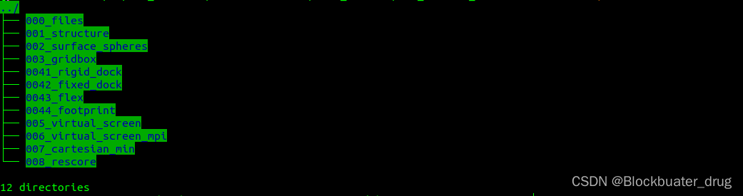UCSF DOCK 分子对接详细案例（02）-并行用于高通量虚拟筛选_分子对接及虚拟筛选全流程 文章-CSDN博客