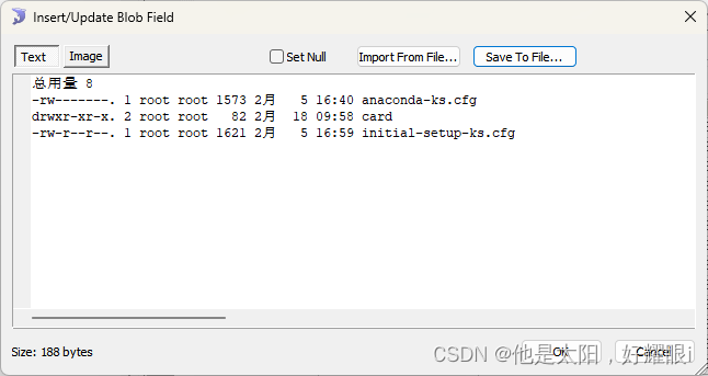 SpringBoot + WebSocket 连接SSH终端，并记录日志_websocket 服务端日志-CSDN博客