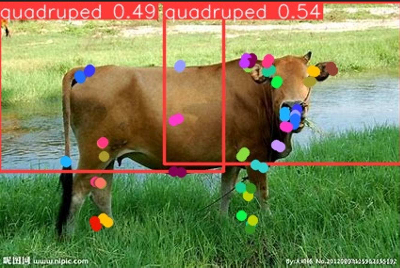 yolov8 keypoint detection + tracking learning record_cvat-CSDN博客