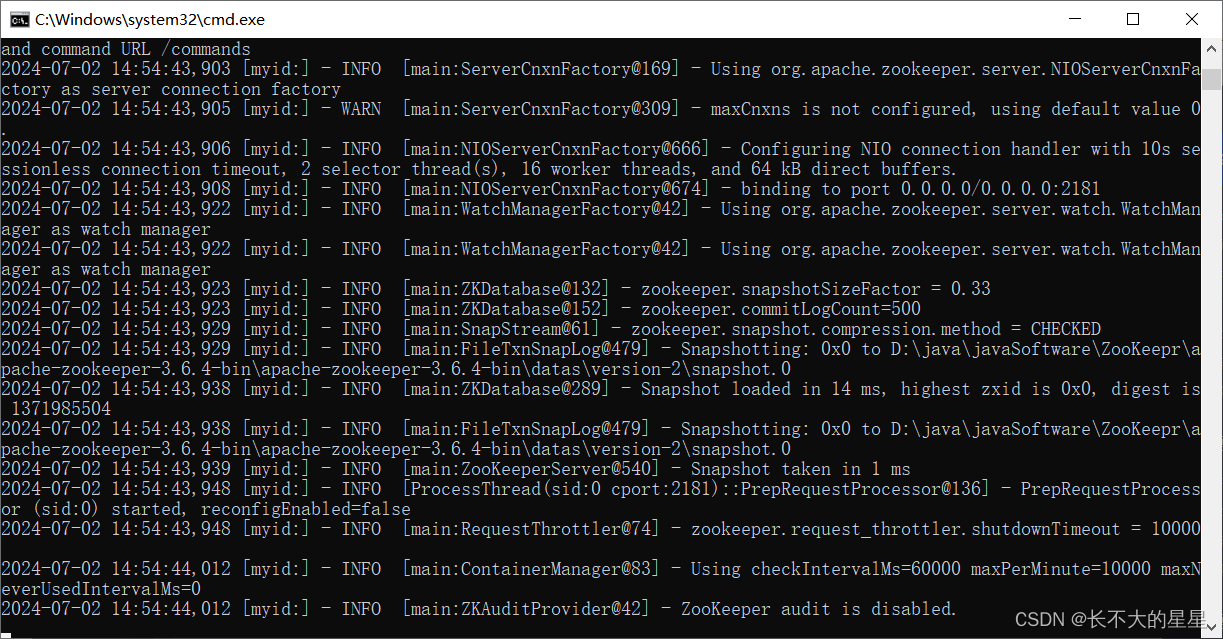下载安装使用 ZooKeeper 保姆级教学-CSDN博客