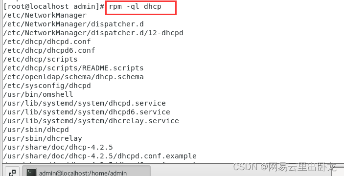 Linux中DHCP服务器搭建_linux配置dhcp服务器-CSDN博客