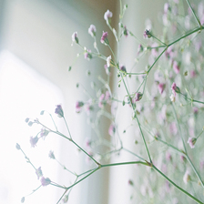 【回眸】QAC软件指南——萌新使用篇-CSDN博客