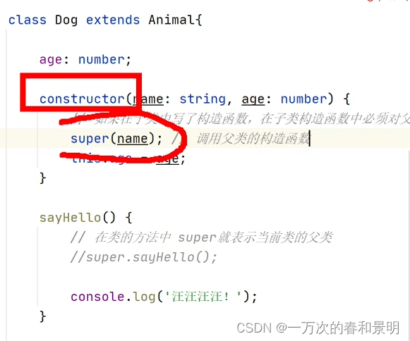 TS构造函数和this、继承、Super_ts constructor super this-CSDN博客