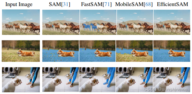 SAM轻量级改进EfficientSAM论文解读EfficientSAM: Leveraged Masked Image ...