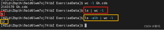 DAY 2 复习基本Linux指令+初识FASTA-CSDN博客