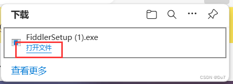安装fiddler，及汉化版本_fiddlerwebdebugger中文汉化-CSDN博客