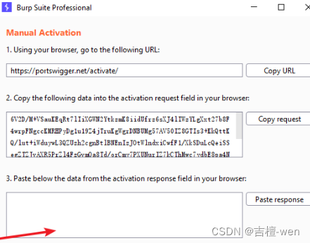 Burp Suite Professional v2024安装及激活-CSDN博客
