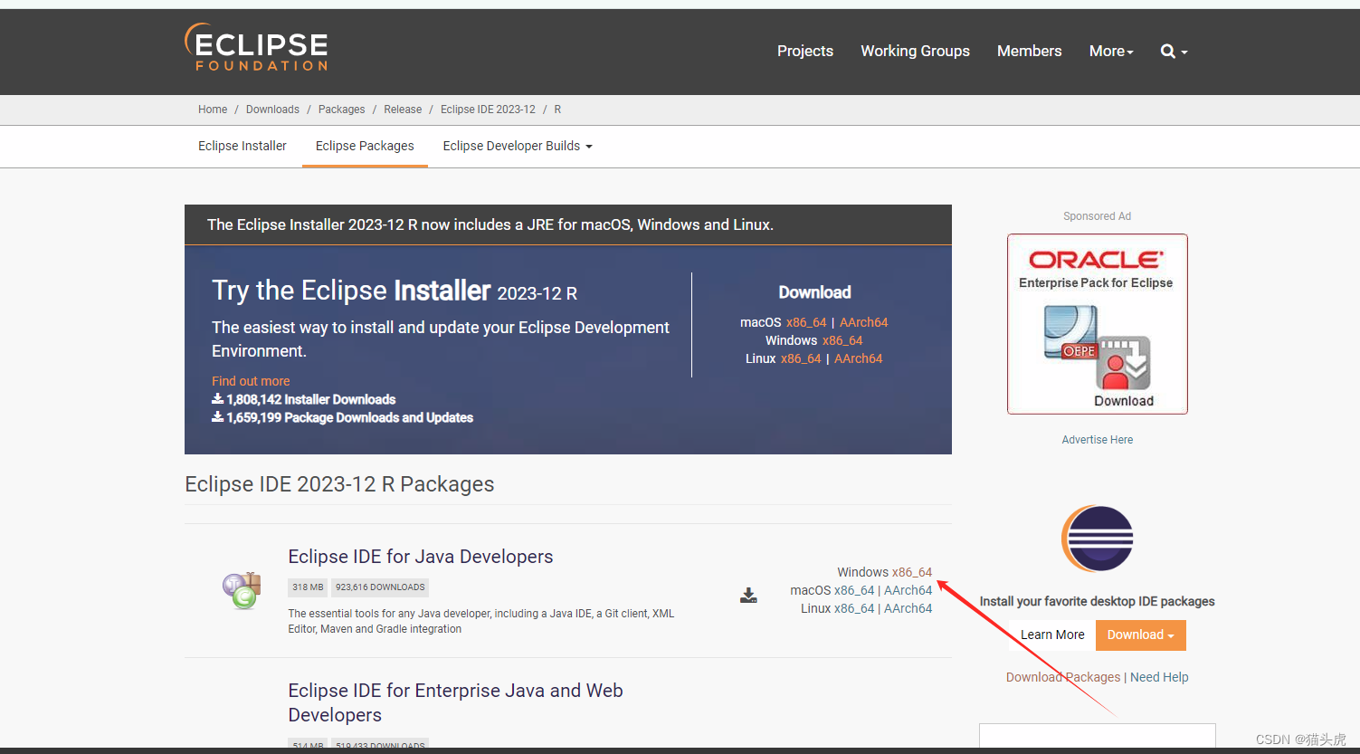 Eclipse启动故障排除指南：eclipse 启动报错如何解决 Failed to load the JNl shared library “C:\ProgramFilesWjavaljdk ...