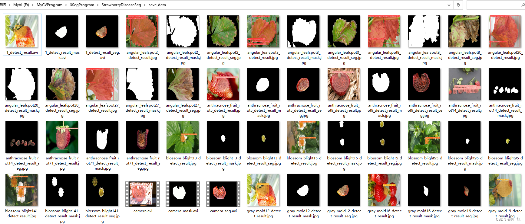 基于yolov8深度学习的智能草莓病害检测与分割系统【python源码pyqt5界面数据集训练代码】深度学习实战、目标检测、目标分割 Csdn博客