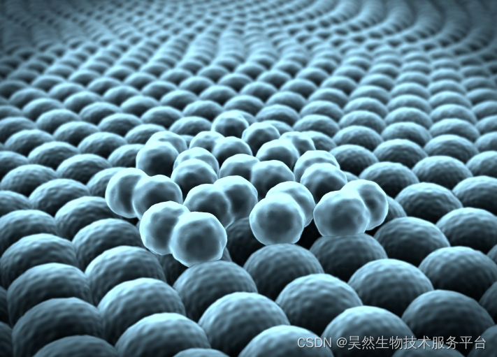 原位生长碳纳米管化学修饰电极(GSCNT-CME)-CSDN博客