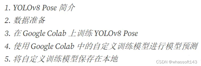 YOLOv8 Pose~瑜伽姿势识别-CSDN博客