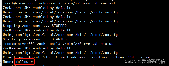 超详细的linux环境搭建zookeeper集群教程_linux 启动zk集群-CSDN博客