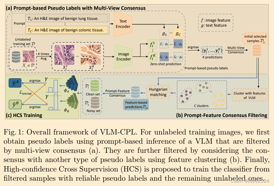 【2024】VLM-CPL：无注释的病理图像分类！来自视觉语言模型的共识伪标签_vlm-cpl: consensus pseudo labels from vision-langu-CSDN博客
