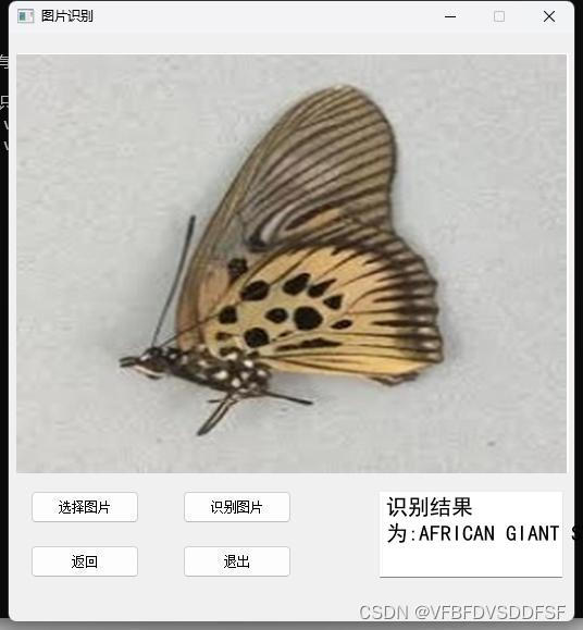 0055期通过python和cnn识别蝴蝶类别 含数据集 Csdn博客