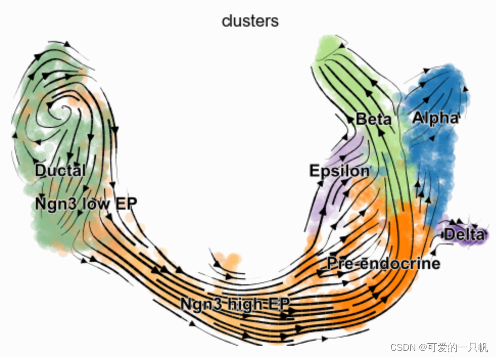 单细胞 | RNA速率 · scVelo_单细胞rna速率-CSDN博客