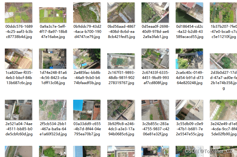 无人机助力违法毒品种植智能监测预警，基于YOLOv3全系列【yolov3tiny/yolov3/yolov3spp】参数模型开发构建无人机航拍场景下的农村田园场景下非法种植罂粟花检测预警识别 ...