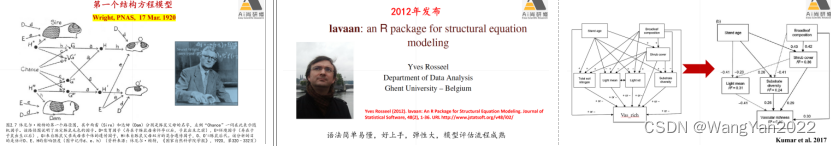 R语言结构方程模型SEM：lavaan包讲解及应用、潜变量分析、复合变量分析、分类变量分析、分组数据分析、嵌套/分层/多水平数据分析、重复测量和时间数据分析、空间自相关数据分析、非递归模型分析 ...
