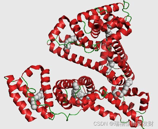 BSA-Biotin conjugated，生物素标记牛血清白蛋白，生物素标记BSA_biotin可以标记在bsa蛋白上马-CSDN博客