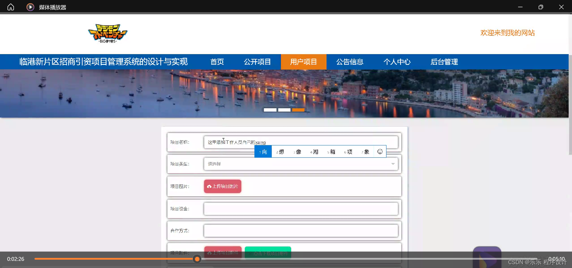 ssm/php/node/python临港新片区招商引资项目管理系统的设计与实现-CSDN博客