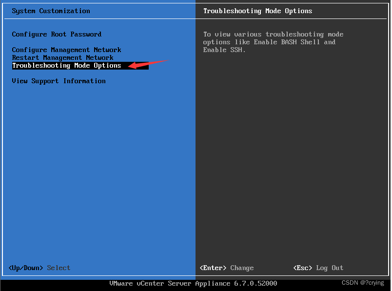 vCenter6.7开启文件上传和ssh功能_vcenter ssh进去是command-CSDN博客