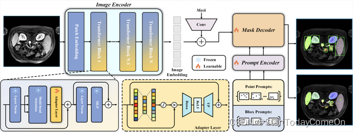 大模型内部知识点及如何使用 (医疗方向)_sam med3d-CSDN博客