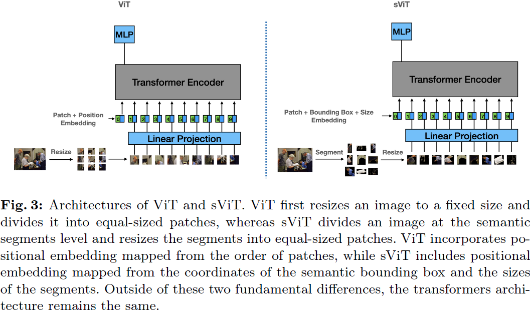 （2024，sViT，语义分割，SAM，可解释性）具有自然语言语义的 ViT_svit模型-CSDN博客