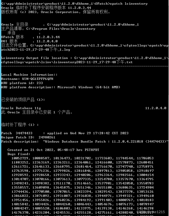 windows上oracle11g安装补丁（patches）_如何下载oracle11补丁包-CSDN博客