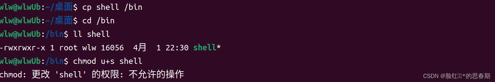 Linux提权之suid_linux查看文件suid-CSDN博客