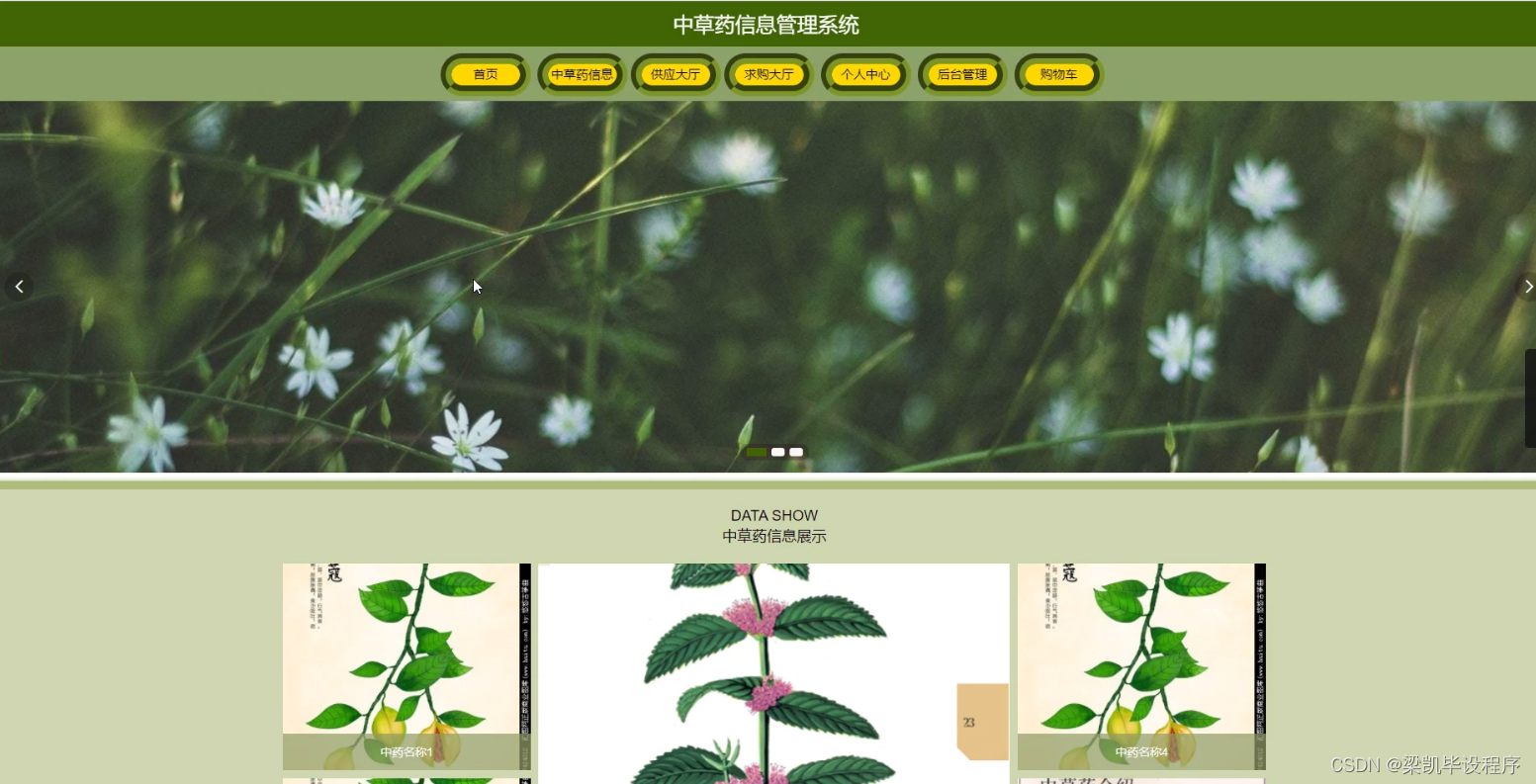 中草药信息管理系统jspjavaspringmvcmysqlmybatis基于大数据的中药材信息管理系统 Csdn博客 2642