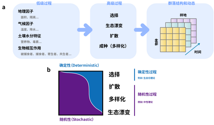 群落构建机制/过程(1)_生态漂变对群落构建的四个基本策略-CSDN博客