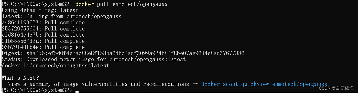 win11下安装opengauss(Docker)_opengauss windows版-CSDN博客