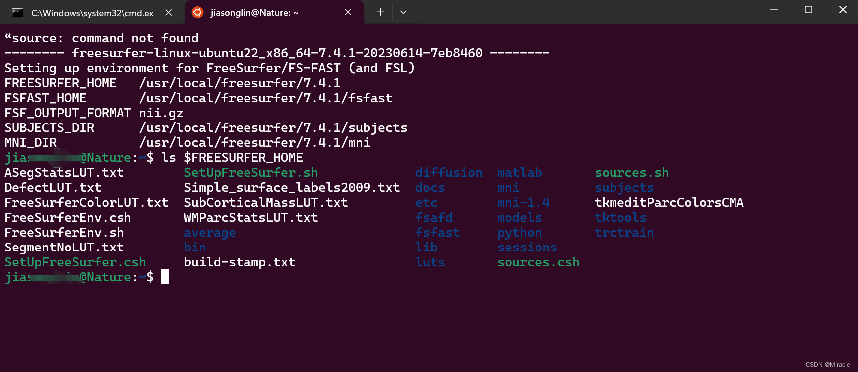 在Windows上运行Freesurfer的简易方法（基于WSL2）_freesurfer wsl-CSDN博客