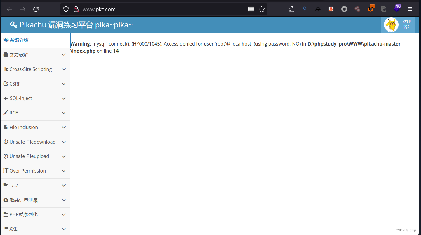 基于phpstudy的Pikachu靶场搭建（有手就会）_phpstudy搭建pikachu靶场-CSDN博客