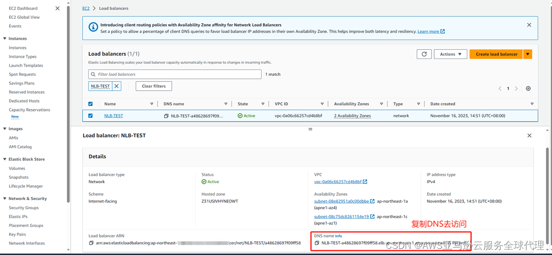 AWS ELB创建-NLB_aws nlb-CSDN博客