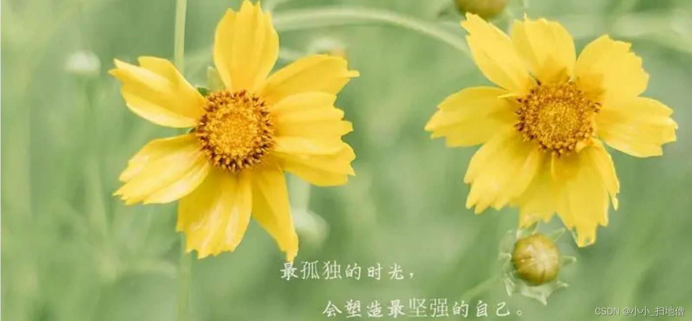 一文带你深度了解FreeRTOS列表和列表项_freertos list-CSDN博客