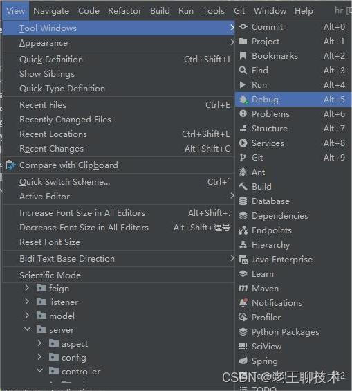 idea debug窗口突然消失解决办法_idea的debugger窗口不见了-CSDN博客