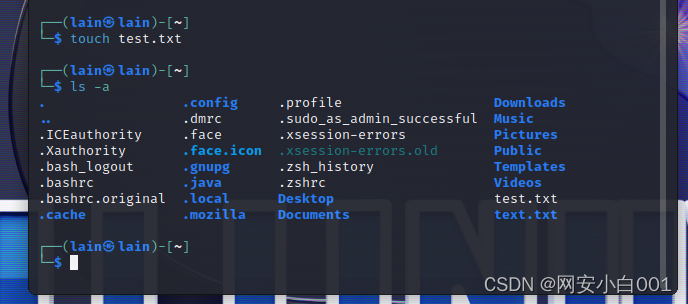 kail Linux 基本命令-CSDN博客