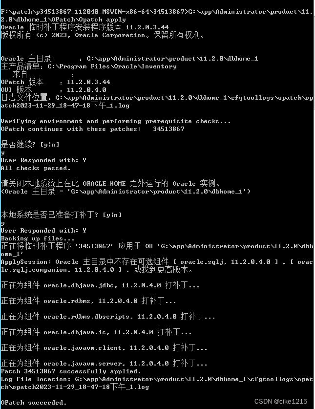 windows上oracle11g安装补丁（patches）_如何下载oracle11补丁包-CSDN博客