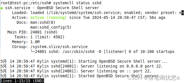 银河麒麟桌面版 Kylin-Desk开启SSH连接_银河麒麟 允许ssh访问-CSDN博客