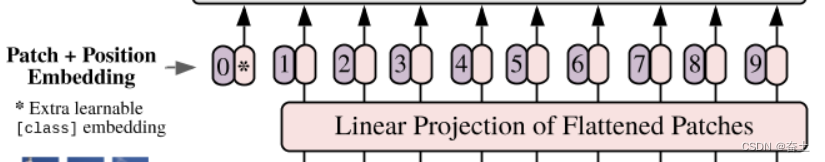 地表最用心！Vision Transformer（ViT）数据流解析（代码同步）_vit数据变化-CSDN博客