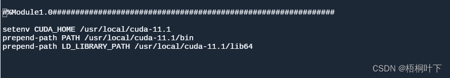 module environment配置双cuda环境变量管理_module cuda命令-CSDN博客