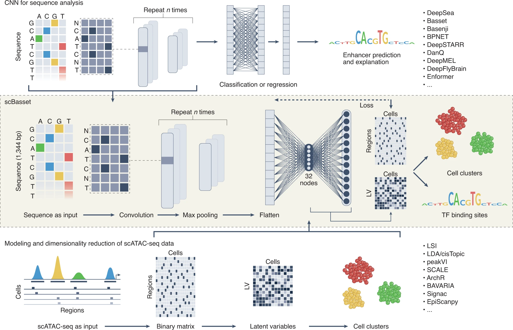 对scBasset的评述，Nat Method.2022-CSDN博客